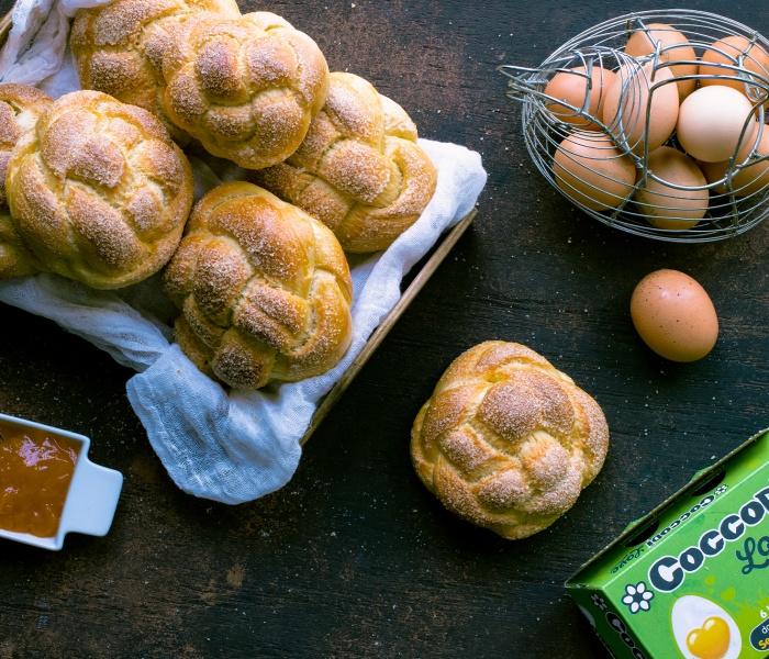 Coccodi Più uovo di così | Home